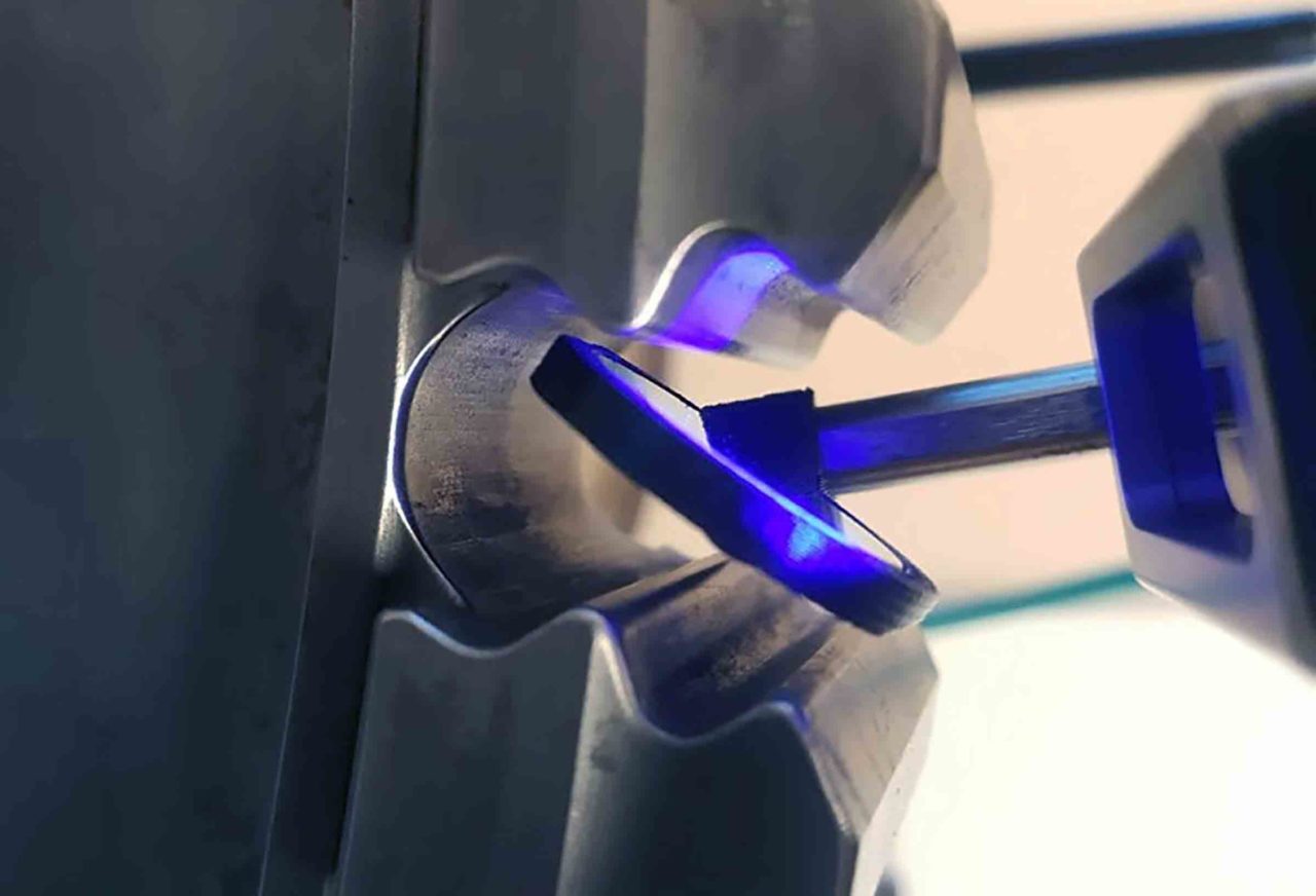 Measuring Fir Tree Roots - 4D Technology