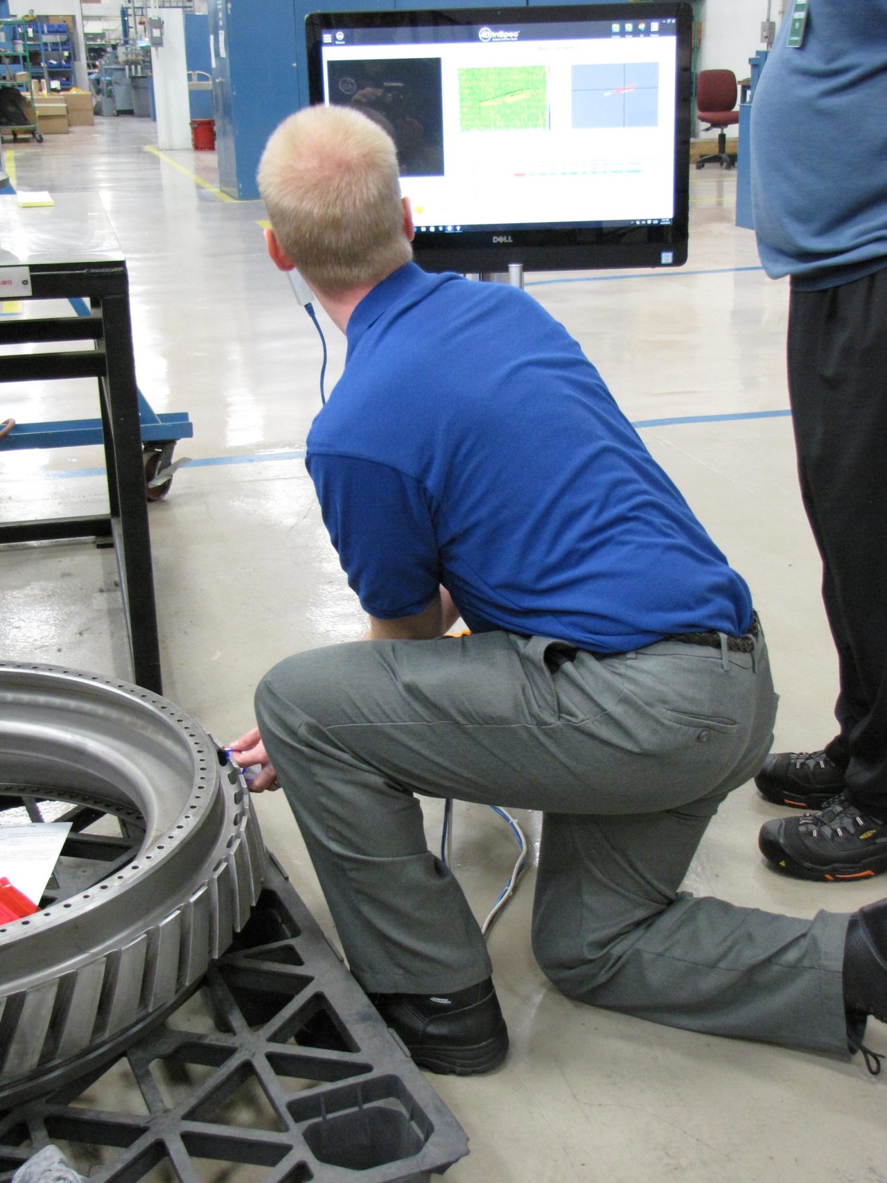 Measuring Fir Tree Roots - 4D Technology